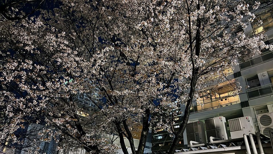 1次試験当日まであと129日(4ヶ月7日): 僕とMOTと品川で。